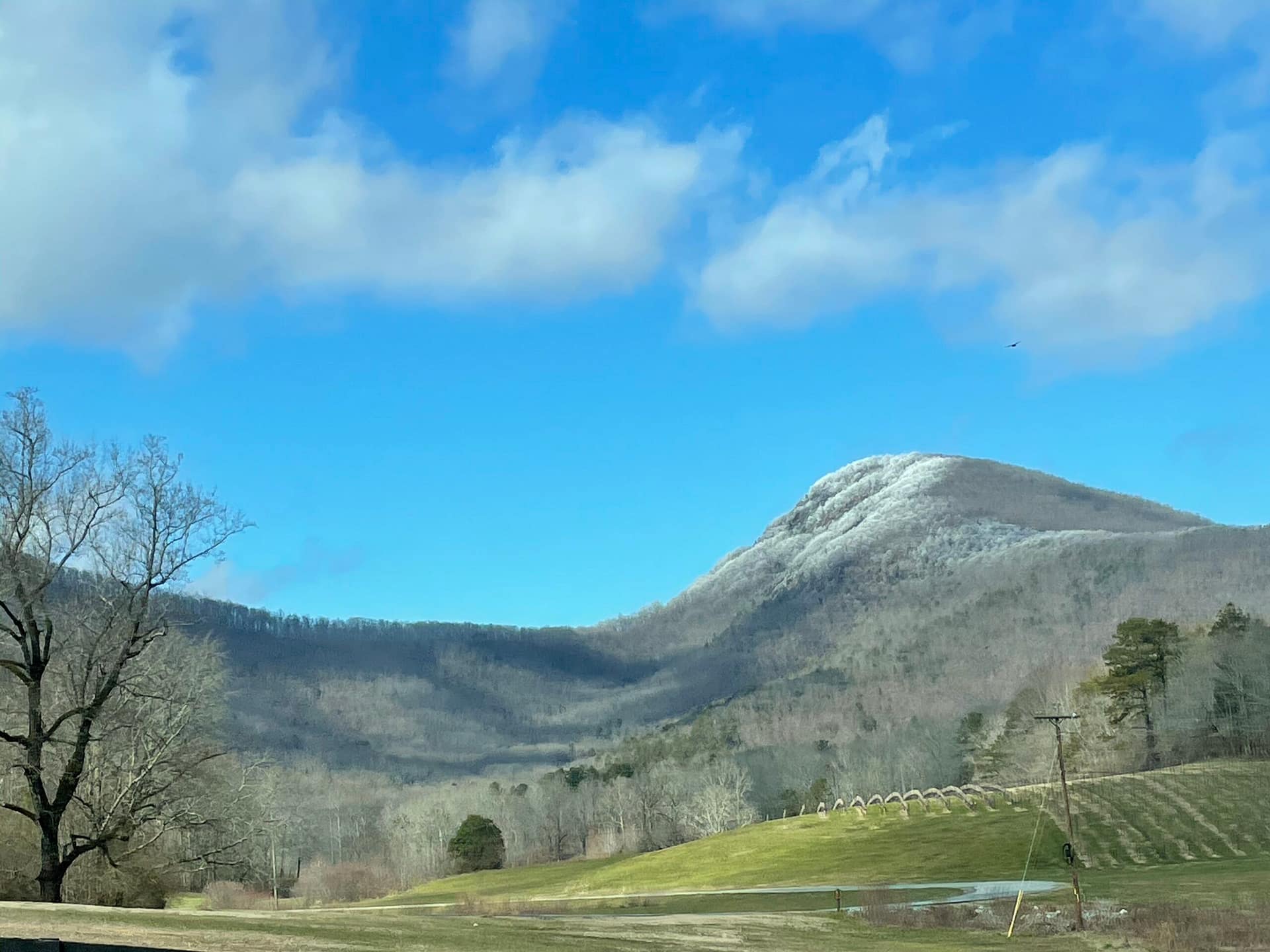 Mount Yonah Trail - Rebecca's Ponderings