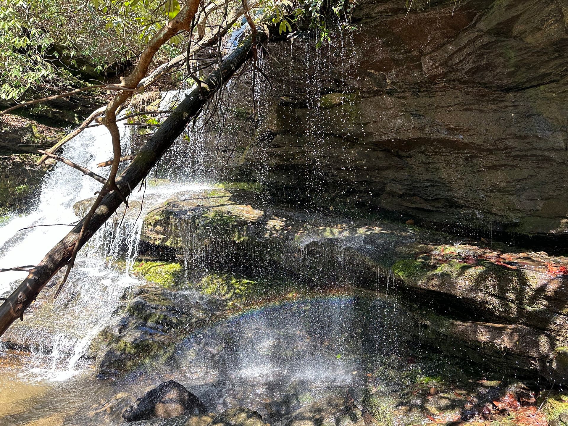Waterfalls on the Bartram Trail - Rebecca's Ponderings
